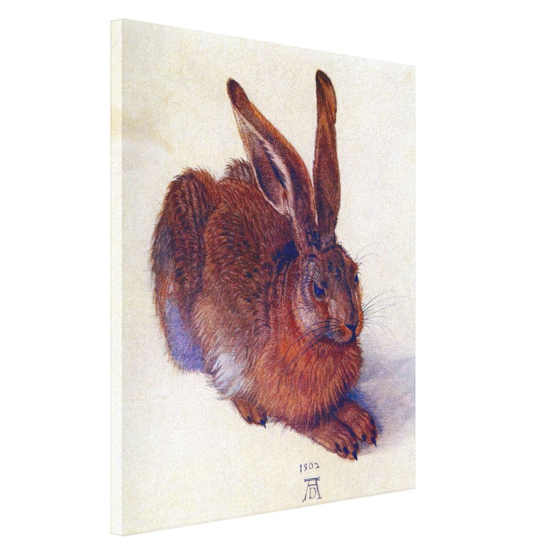 Young Hare by Albrecht Durer, Renaissance Fine Art Canvas Print | Zazzle