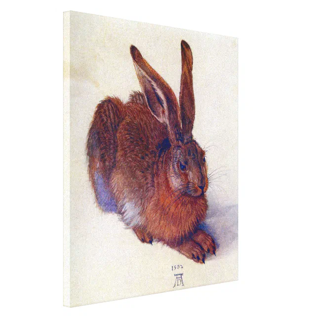 Young Hare by Albrecht Durer, Renaissance Fine Art Canvas Print | Zazzle