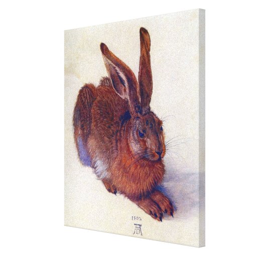 Young Hare by Albrecht Durer, Renaissance Fine Art Canvas Print | Zazzle
