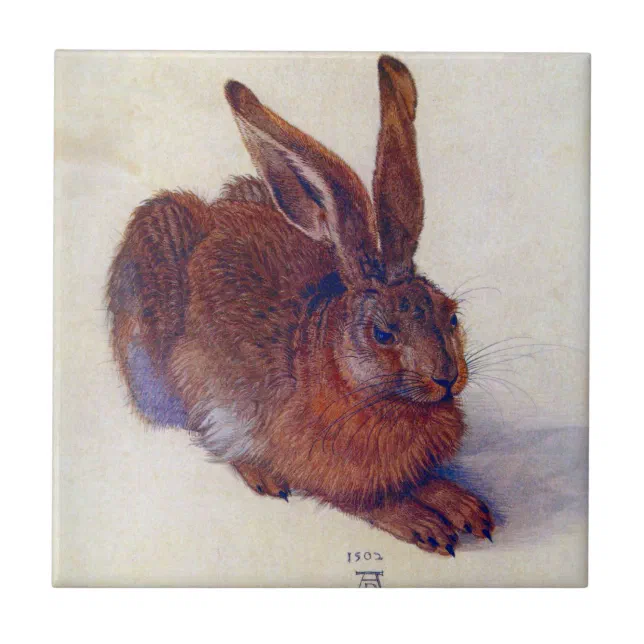 Young Hare by Albrecht Durer, Renaissance Fine Art Tile | Zazzle