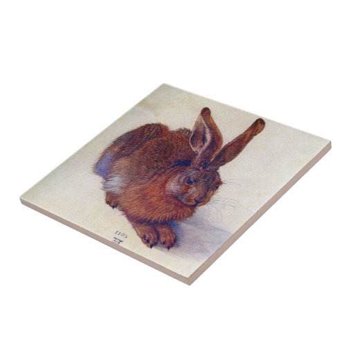Young Hare by Albrecht Durer, Renaissance Fine Art Tile | Zazzle