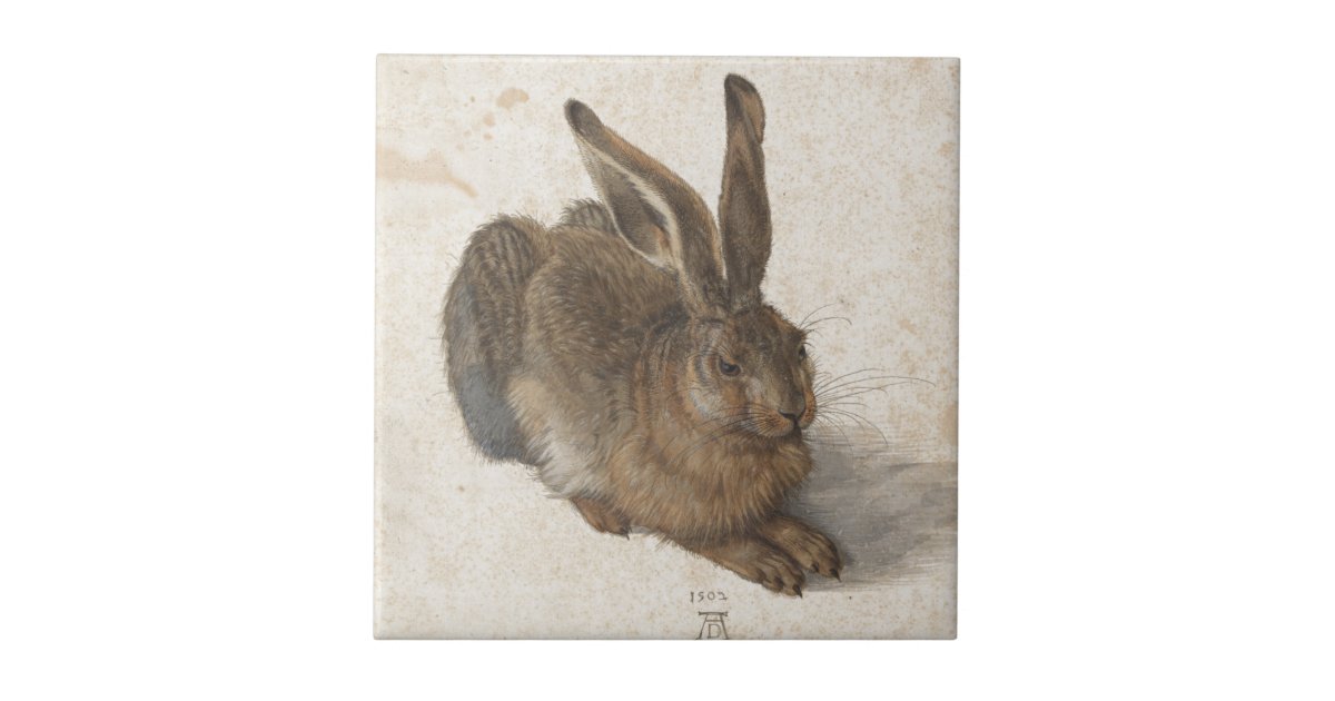 Young Hare by Albrecht Durer Tile | Zazzle