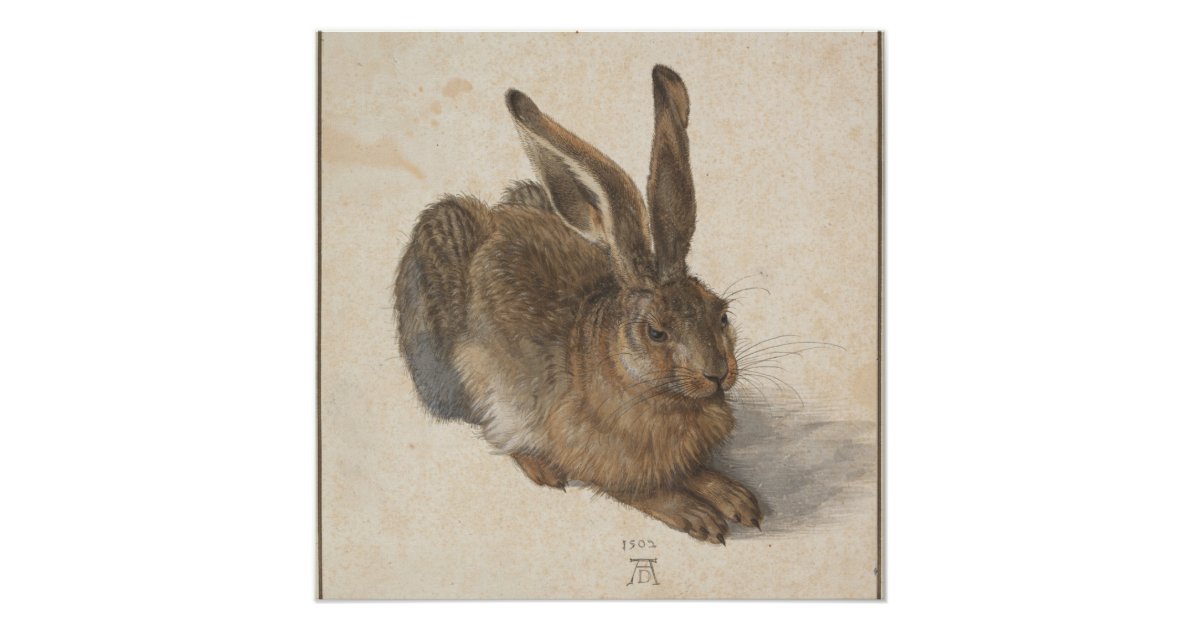 Young Hare (Durer 1502) Poster | Zazzle