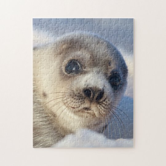 Young Harp Seal Jigsaw Puzzle | Zazzle.com