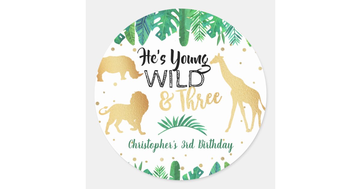 Young Wild & Three Boys Third Birthday Classic Round Sticker | Zazzle