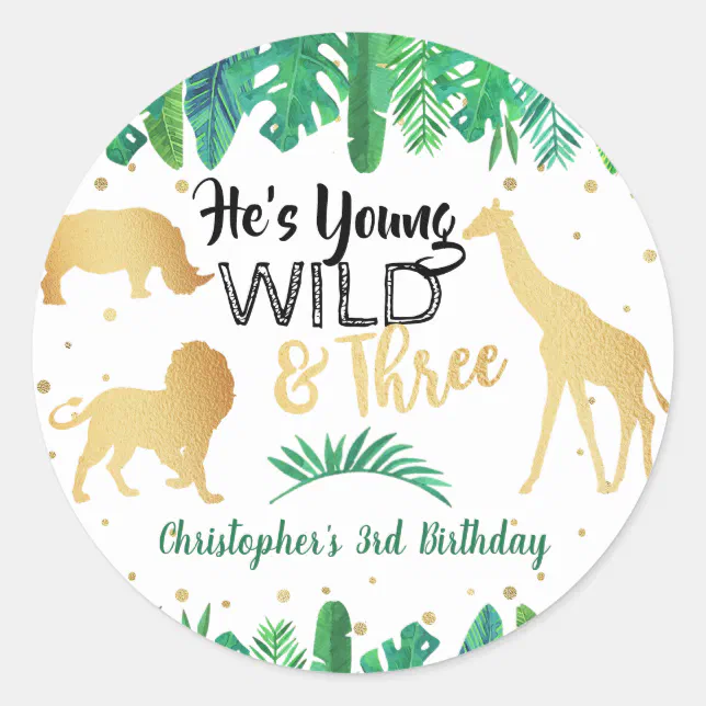 Young Wild & Three Boys Third Birthday Classic Round Sticker | Zazzle