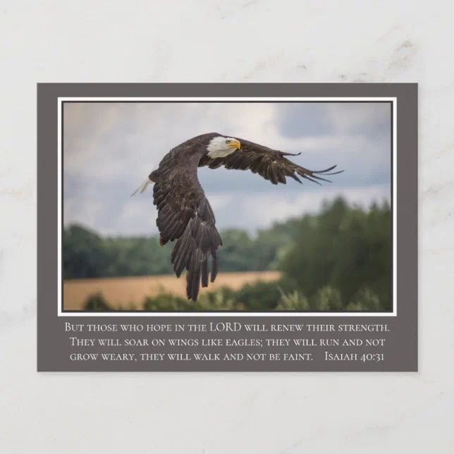 Your CoIor Wings like Eagles Isaiah 40:31 Bible Postcard | Zazzle
