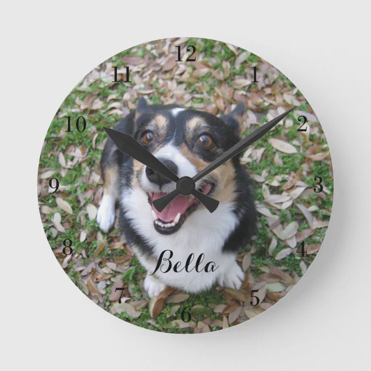 Your Custom Dog Photo Pet Round Clock | Zazzle