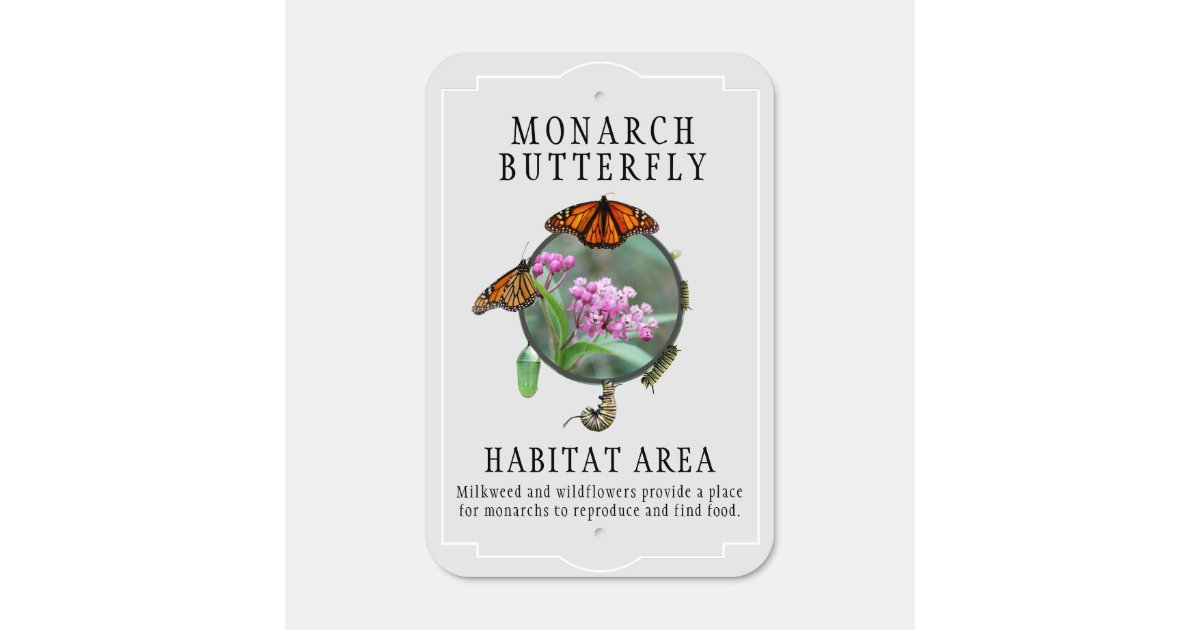 Your Custom Photo Monarch Life Cycle Habitat Metal Sign | Zazzle