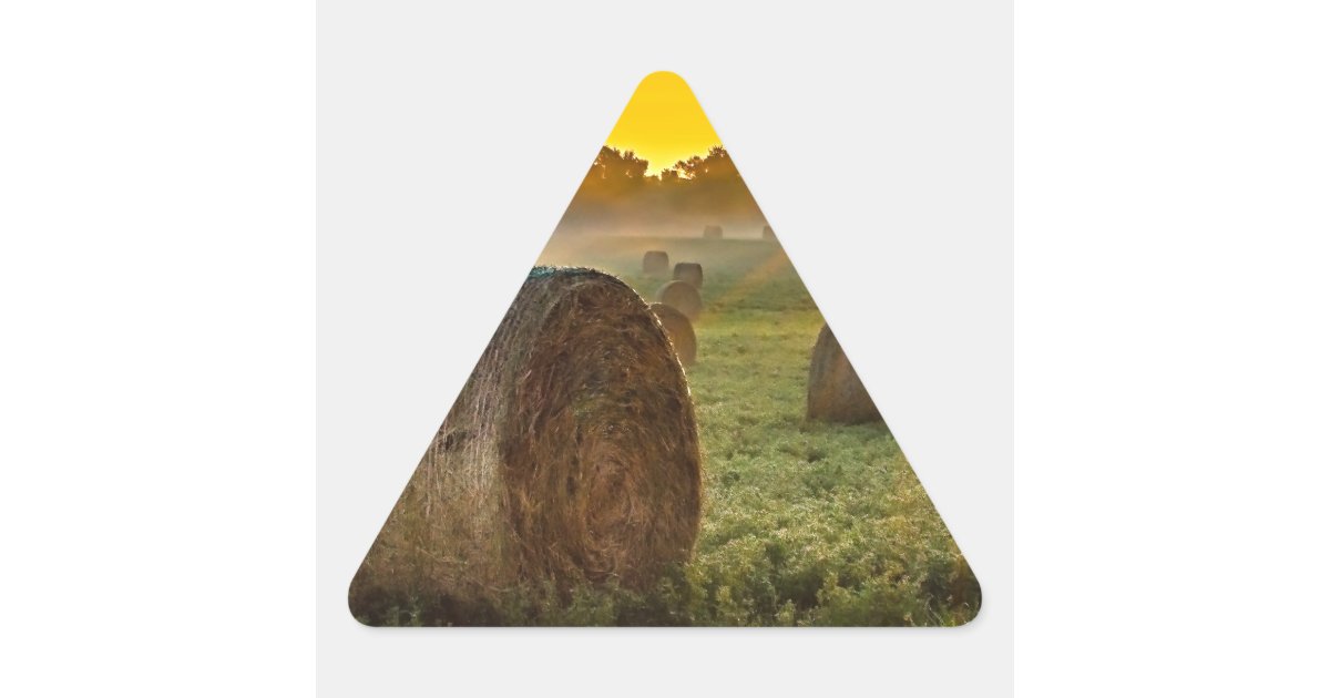 Your Custom Triangle Stickers | Zazzle