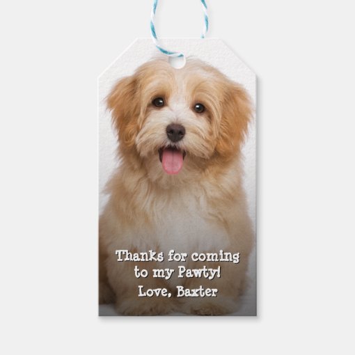 Your Dog's Birthday Pawty Thank You Favor Gift Tags | Zazzle