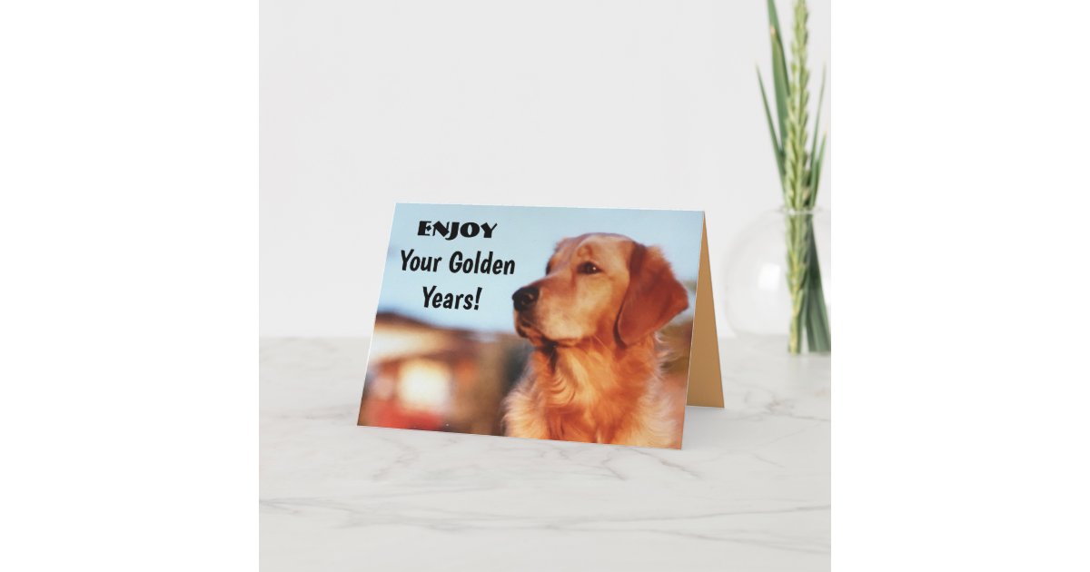 Your Golden Years Retirement Wish Golden Retriever Card | Zazzle