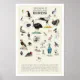 Your Guide to Doofy Birds 11x17 Poster | Zazzle