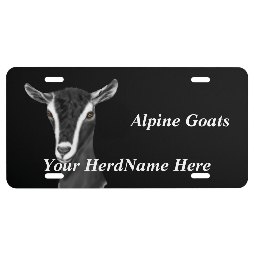 YOUR HERD NAME Alpine Goats Drawing License Plate | Zazzle