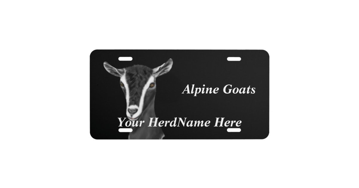 YOUR HERD NAME Alpine Goats Drawing License Plate | Zazzle