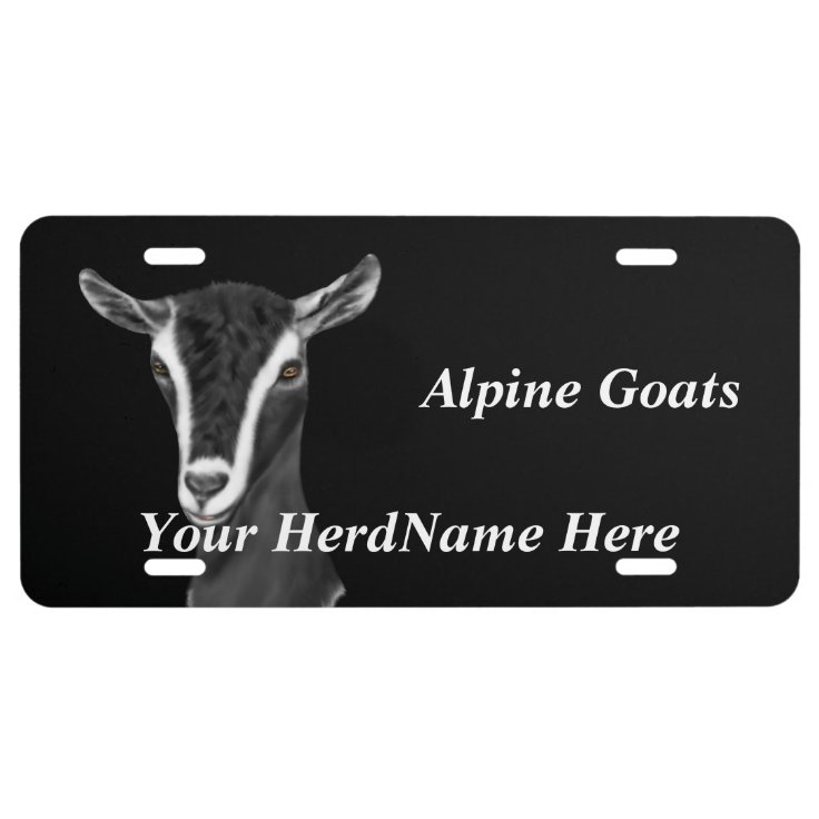 YOUR HERD NAME Alpine Goats Drawing License Plate | Zazzle