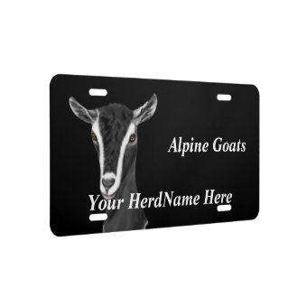 YOUR HERD NAME Alpine Goats Drawing License Plate | Zazzle