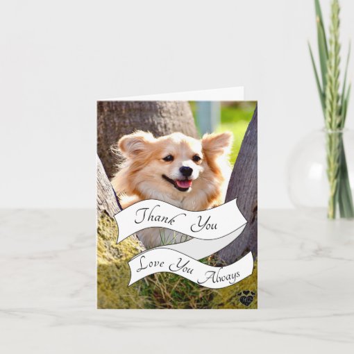 Your Own Message Dog Thank You Card | Zazzle