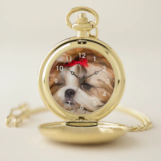 Your pet dog puppy photo gift clock face pocket watch | Zazzle