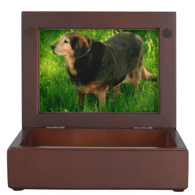 Your pet memory keepsake box add your pet photos | Zazzle