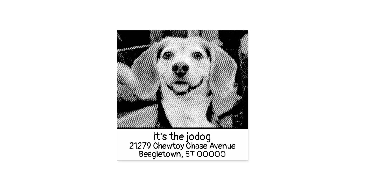Your Pet Photo Dog Cat Animal Return Address Rubber Stamp | Zazzle