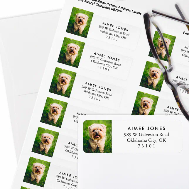 Your Pet's Photo Custom Return Address Label | Zazzle