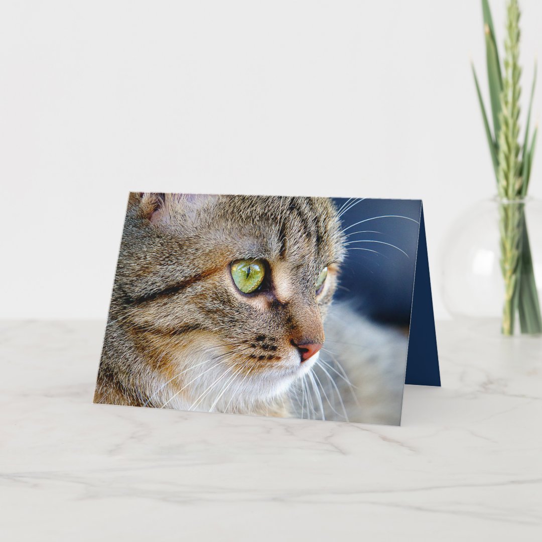 Your Photo Cat Condolences Sympathy Greeting Card | Zazzle