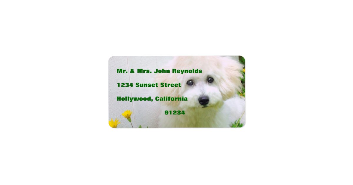 Your Photo Return Address Labels | Zazzle