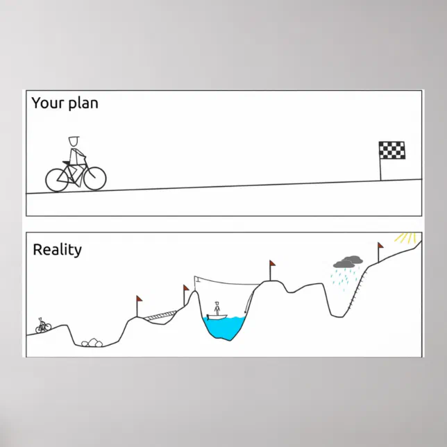 Your plan VS Reality Poster | Zazzle
