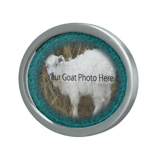 YOUR Teal Goat Photo Here Belt Buckle | Zazzle