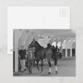 You're Killin Me by Adios Charlie Postcard | Zazzle