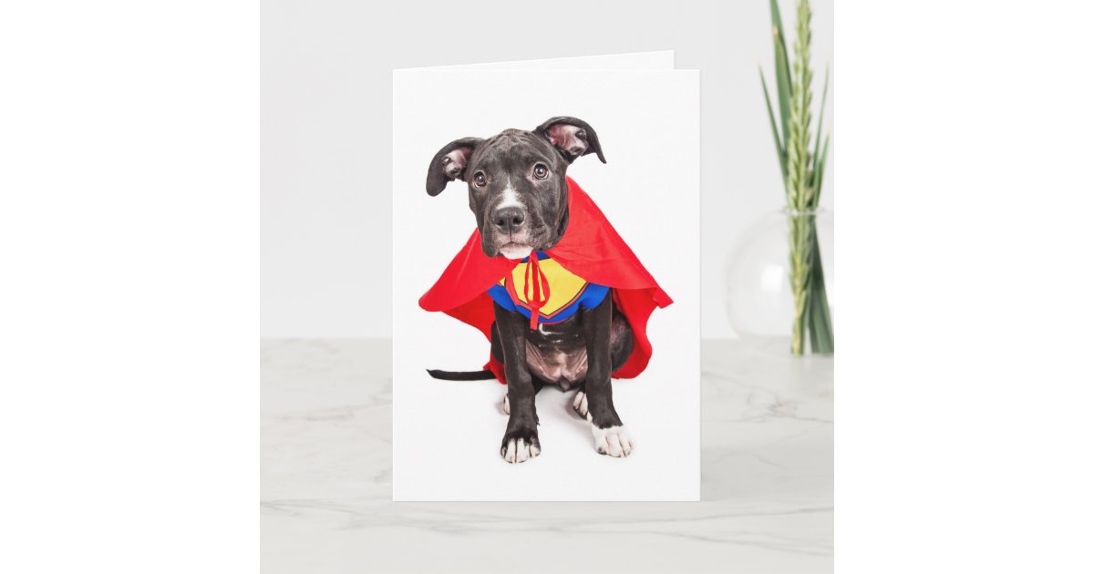 You're My Hero Greeting Card | Zazzle