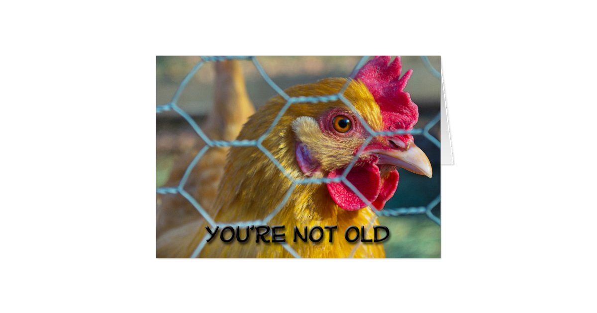 You're Not Old | Zazzle