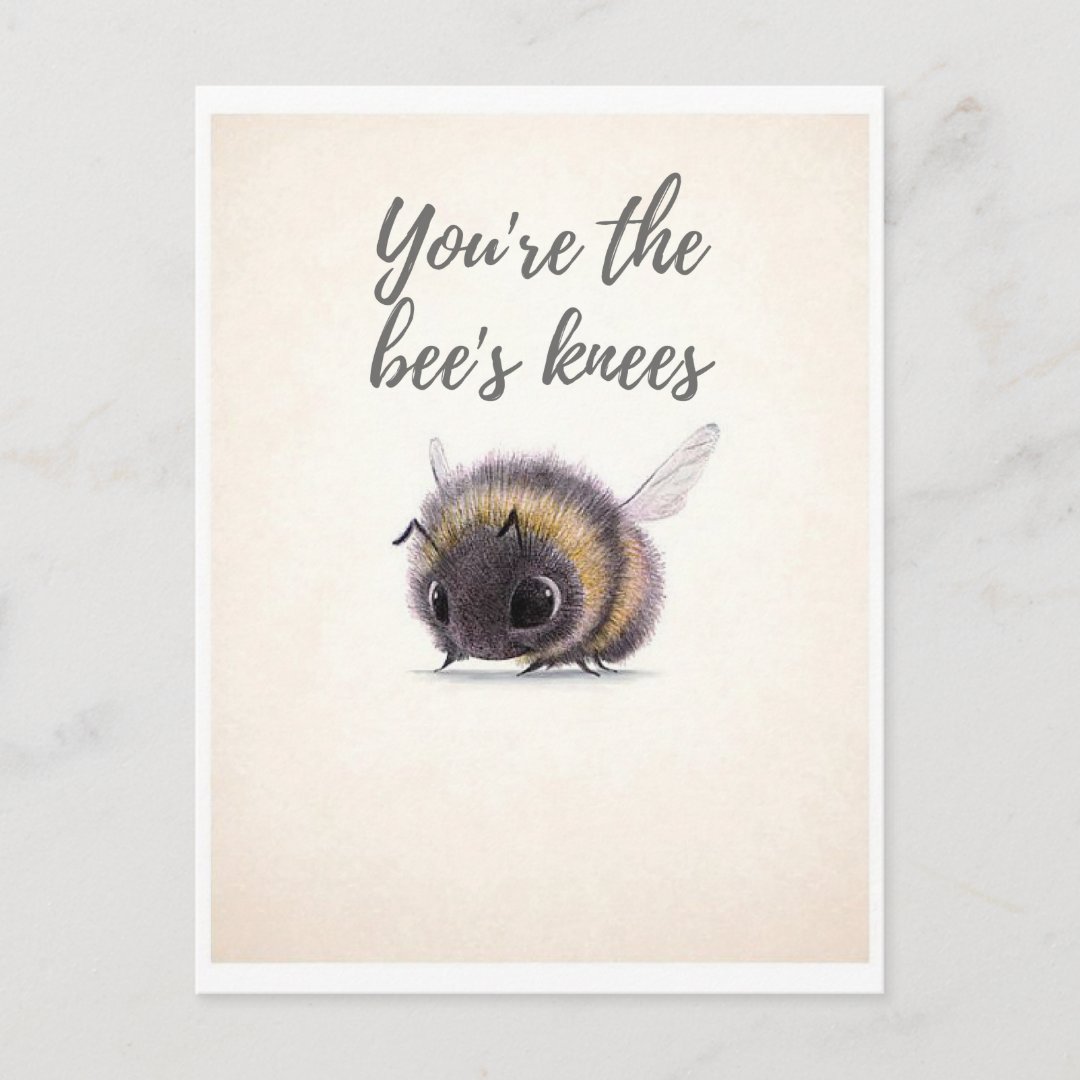 You're the Bee's Knees Postcard | Zazzle