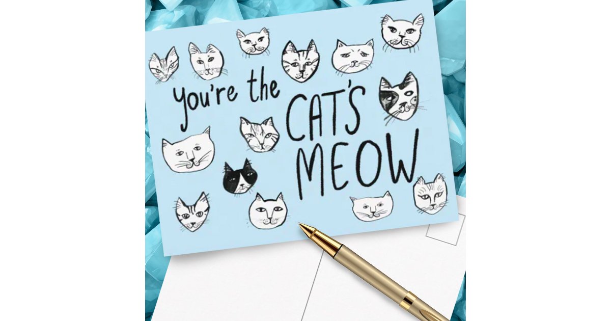 YOU'RE THE CAT'S MEOW Cute Kittens Postcard | Zazzle
