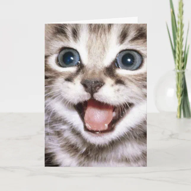 You're The Cats Meow! Funny Cat Card | Zazzle