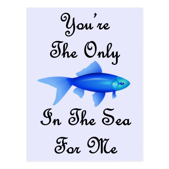 You're The Only Fish In The Sea For Me Quote Postcard | Zazzle.com