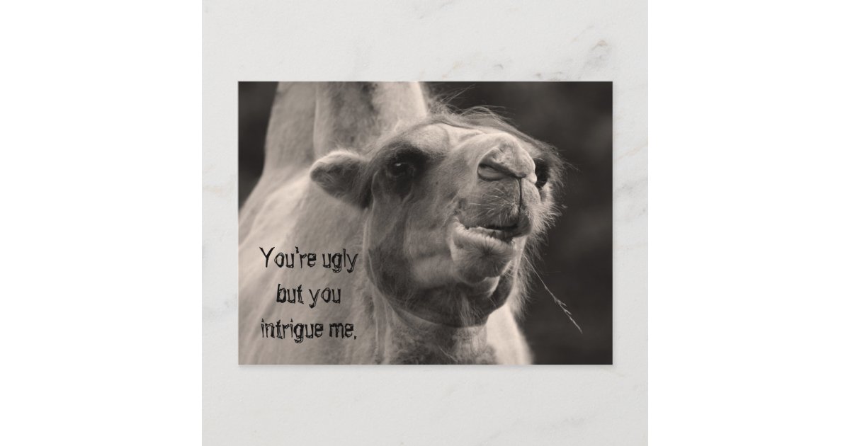 You're Ugly Postcard | Zazzle
