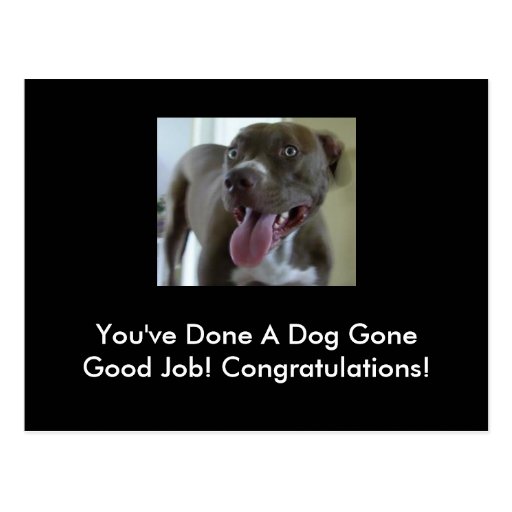 You've Done A Dog Gone Good Job! Postcard | Zazzle