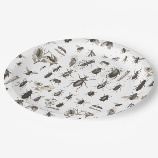 Yummy Bugs Funny Insect Kids Birthday Plates | Zazzle