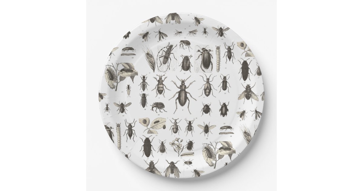 Yummy Bugs Funny Insect Kids Birthday Plates | Zazzle
