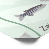 Z for zebrafish Poster | Zazzle