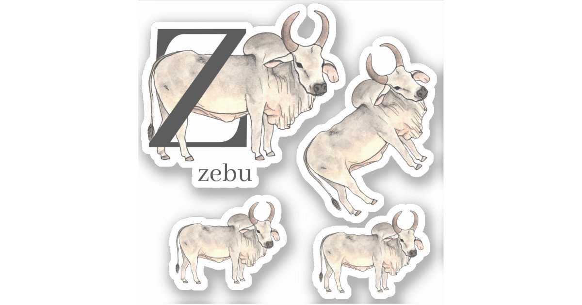 Z for Zebu Stickers | Zazzle