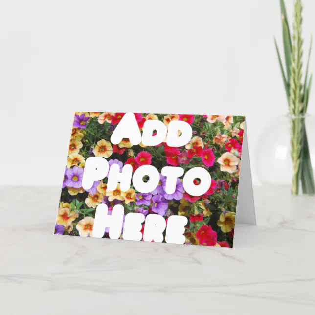 Zazzle Template Design My Own Photo Present Upload | Zazzle