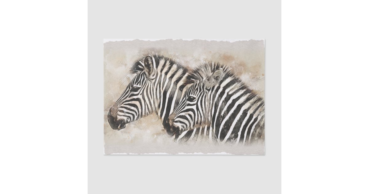 Zebra Artwork Decoupage Tissue Paper | Zazzle