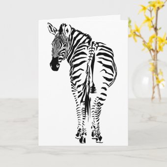 Zebra Birthday Card | Zazzle