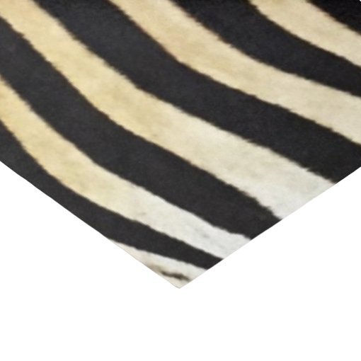 Zebra Furniture Decoupage Paper | Zazzle