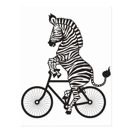 Zebra on Bike Postcard | Zazzle.com