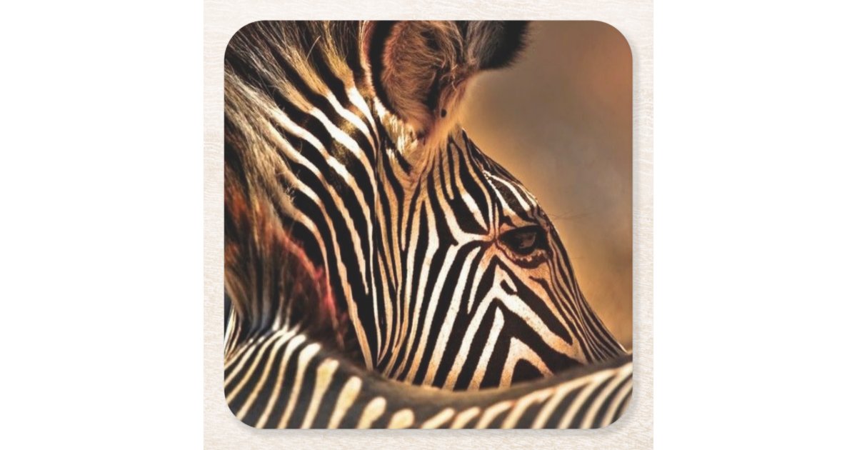 Zebra plastic coaster | Zazzle