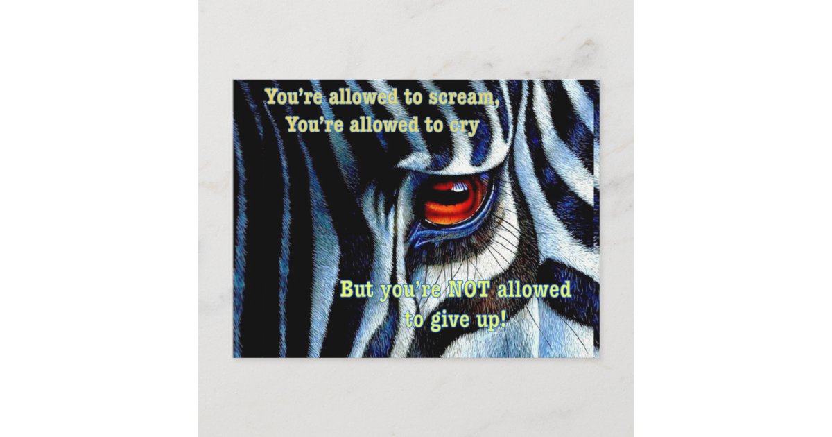 Zebra postcard | Zazzle
